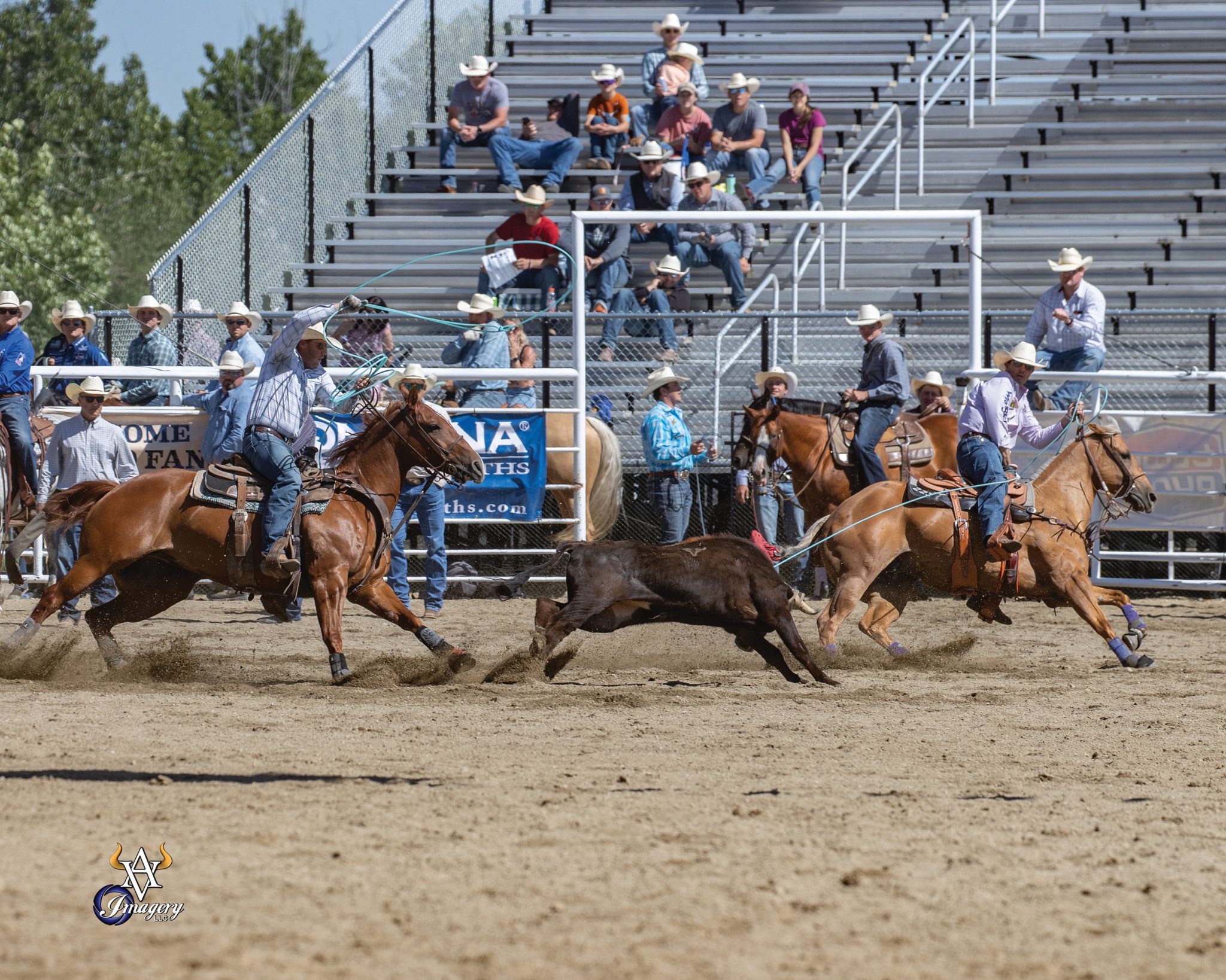 Garrett Tonozzi: Raising Horses and Family