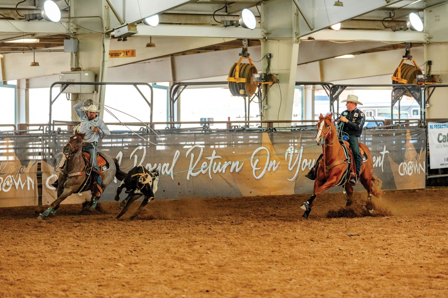 Can a good futurity horse make a good rodeo horse?