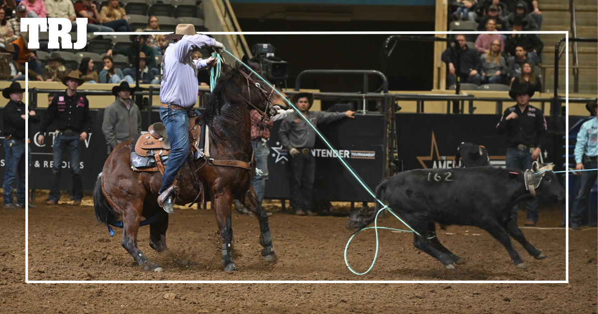 Guide to The American Rodeo Contender Finals 2024