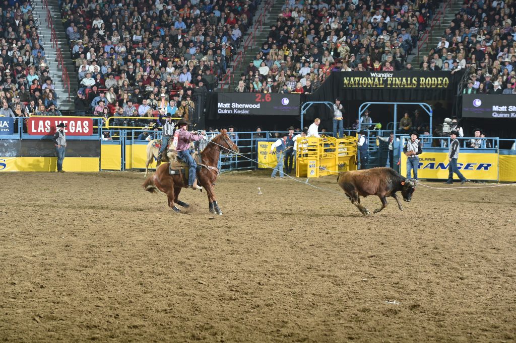 Quinn Kesler, NFR Switchender, Dies Feb. 26, 2024 - The Team Roping Journal
