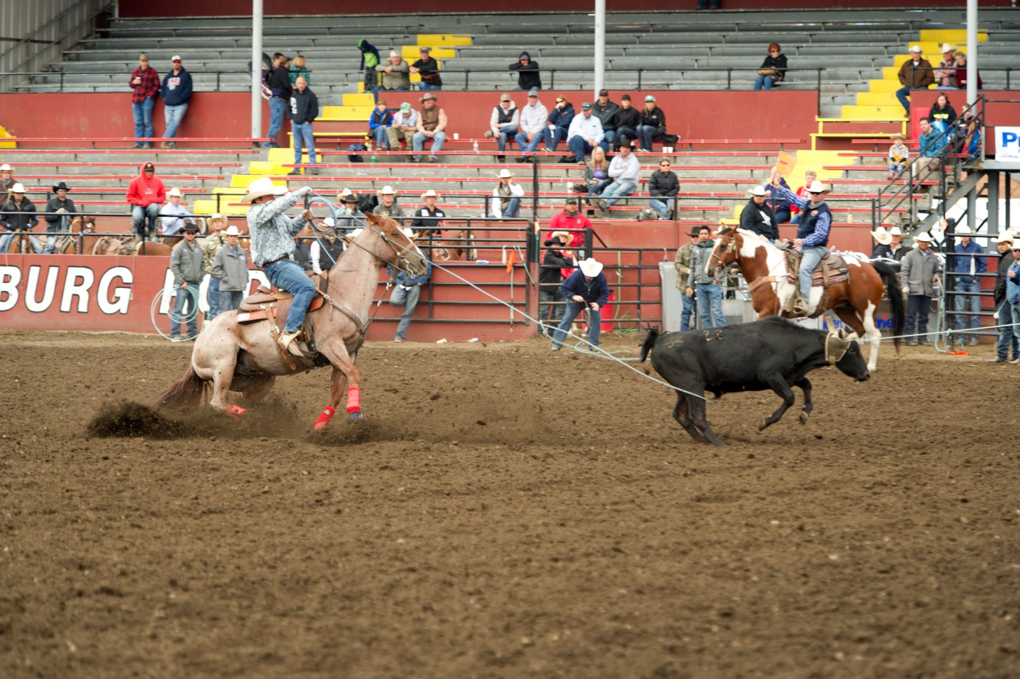 Quinn Kesler, NFR Switchender, Dies Feb. 26, 2024 - The Team Roping Journal
