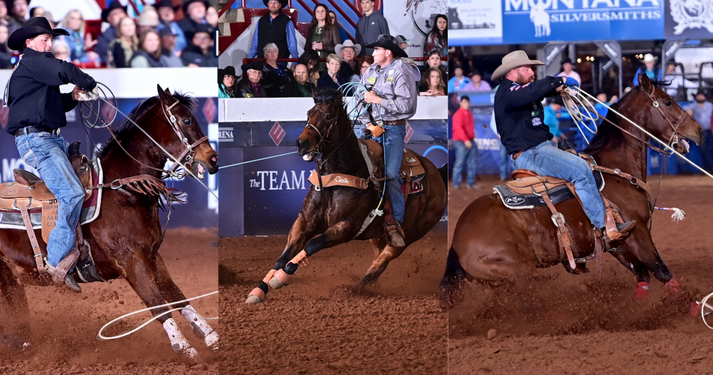 Cinch Timed Event Championship Top Horse Voting - The Team Roping Journal