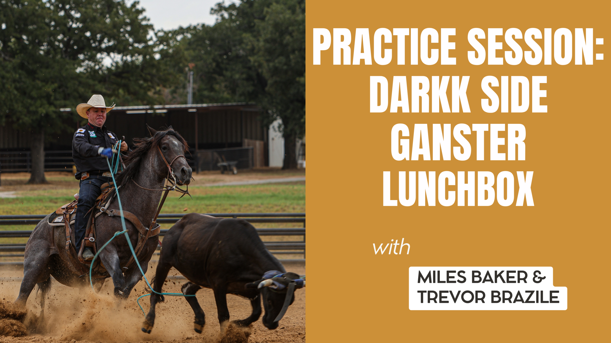 5 Masterclasses to Improve Your Roping Game - The Team Roping Journal