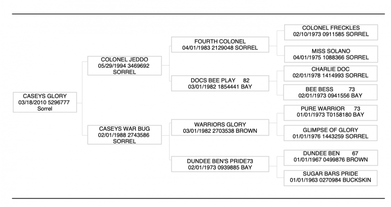 Derrick Begay, Colter Todd Win Rodeo Houston - The Team Roping Journal
