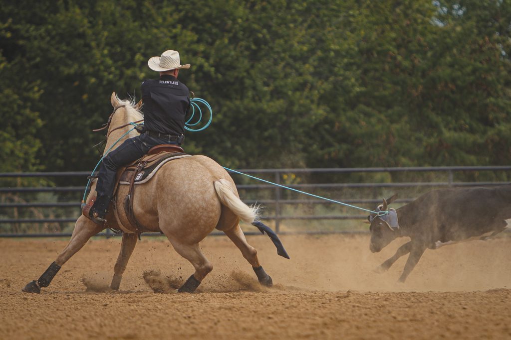 Rope Horse Training Masterclass: Dial in Your Head Horse's Facing