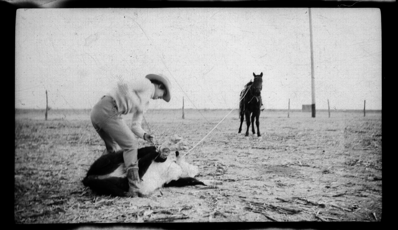 9 Hall of Fame Ropers Who Paved the Way for Women in Rodeo