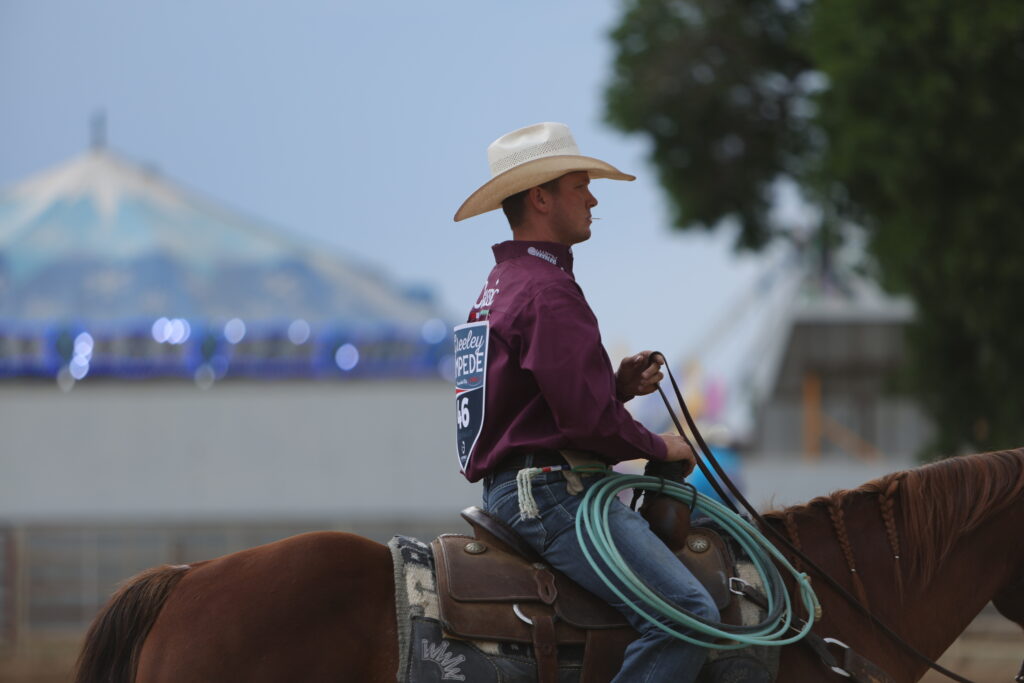 The 2024 American Rodeo Heelers' Rope Selection - The Team Roping Journal
