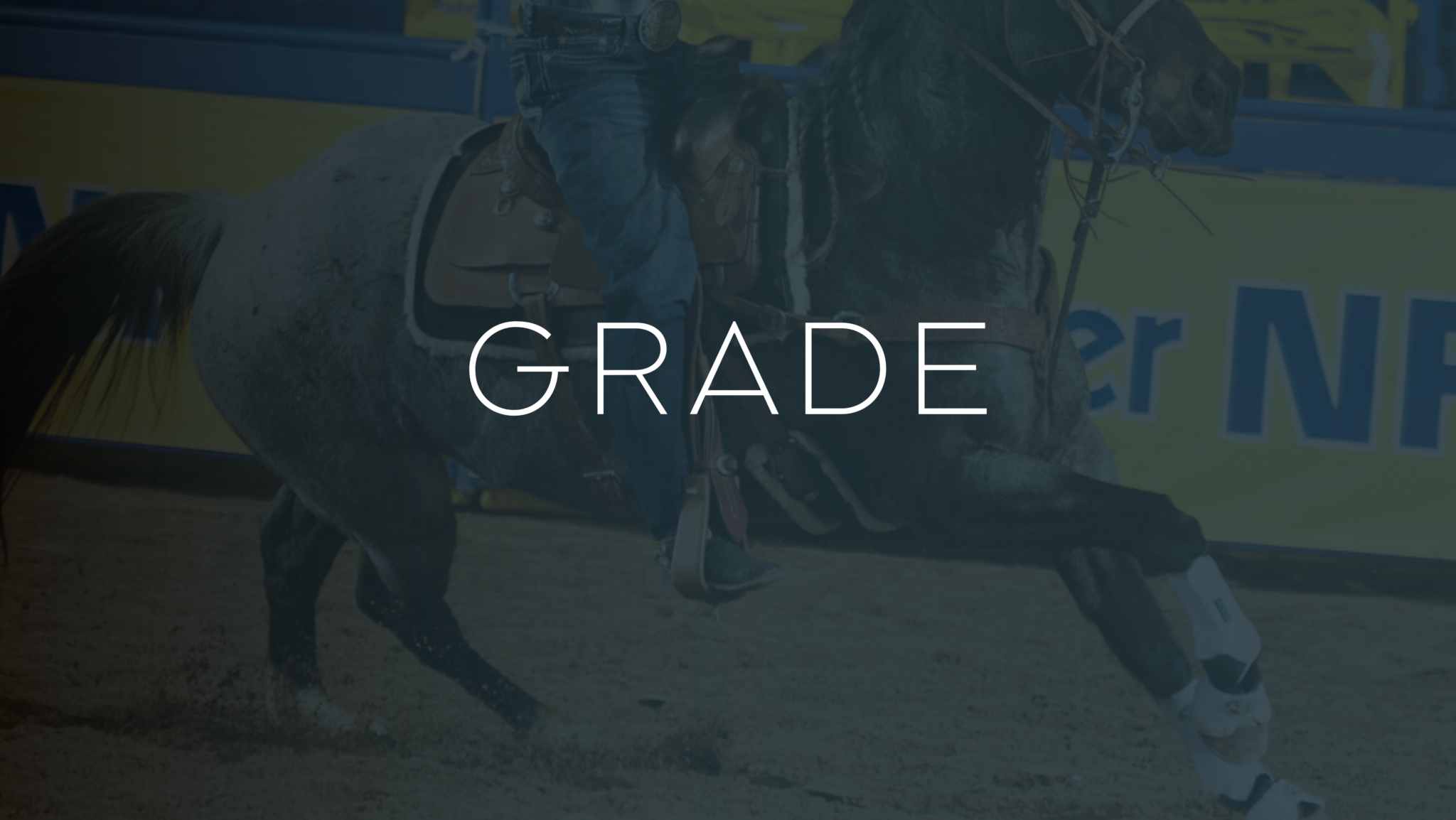 The Heel Horses of the 2024 American Rodeo - The Team Roping Journal