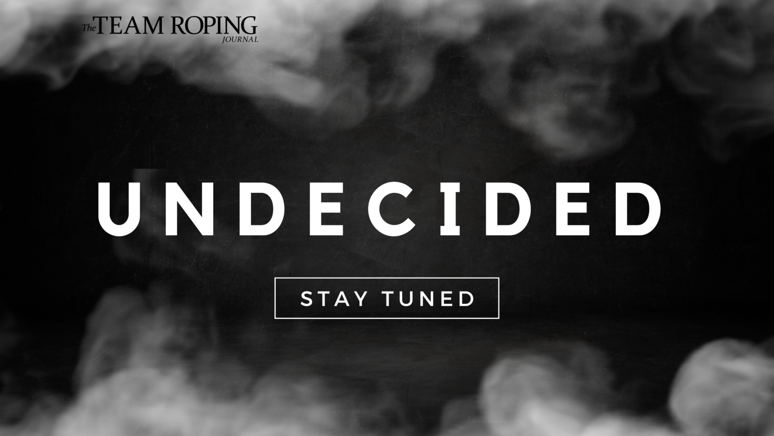 The Heel Horses of the 2024 American Rodeo - The Team Roping Journal