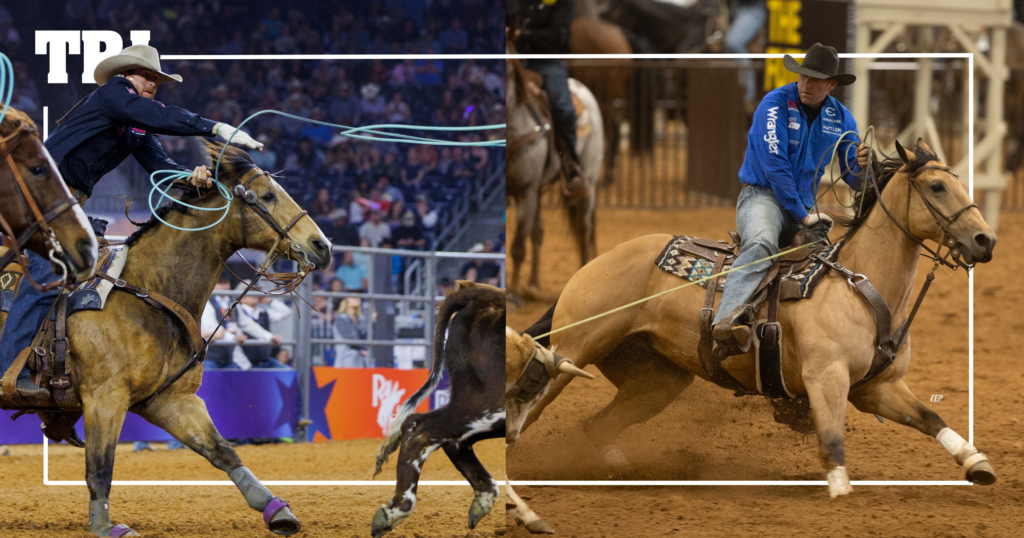 Cody Snow to Ride SJR Diamond Billy at 2024 BFI - The Team Roping Journal