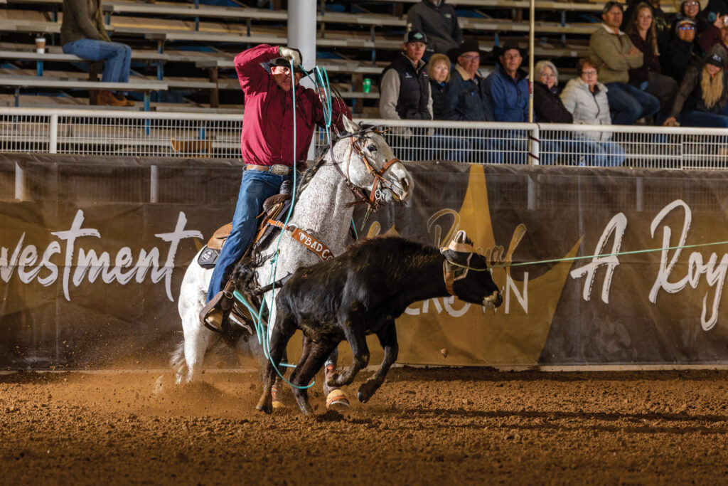 MP Dineros Woodpatch 'Potter' Doing Petska and Cervi Proud