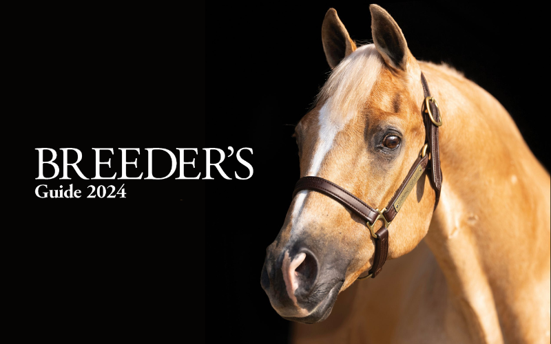 Team Roping Journal — Home