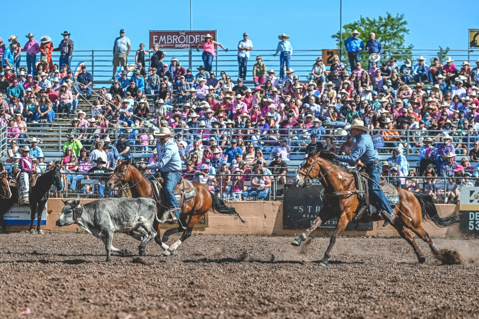 Masters, Cox Win Red Bluff Round-Up Team Roping - The Team Roping Journal