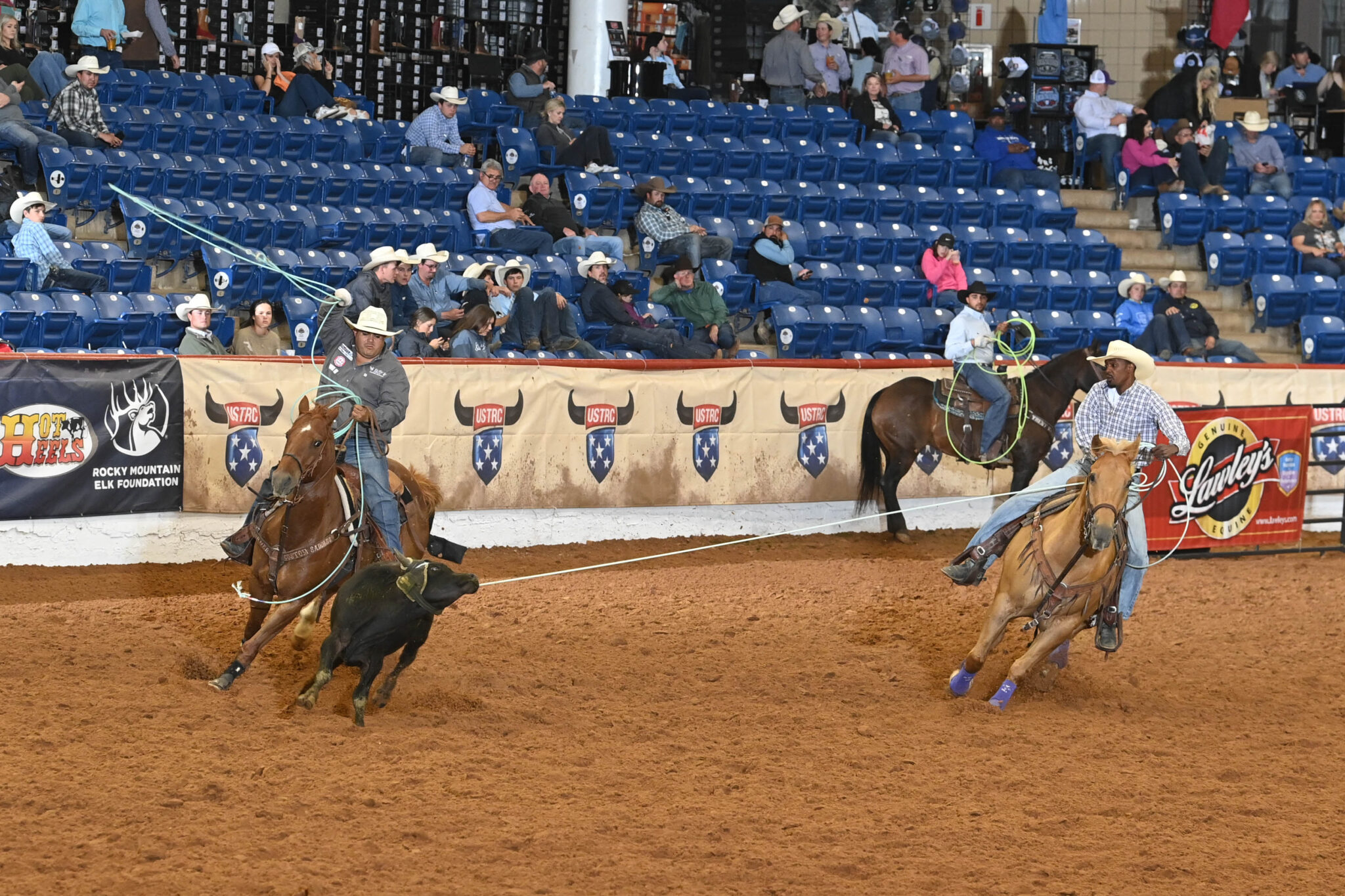 Full Results: 2024 Cinch USTRC National Finals of Team Roping