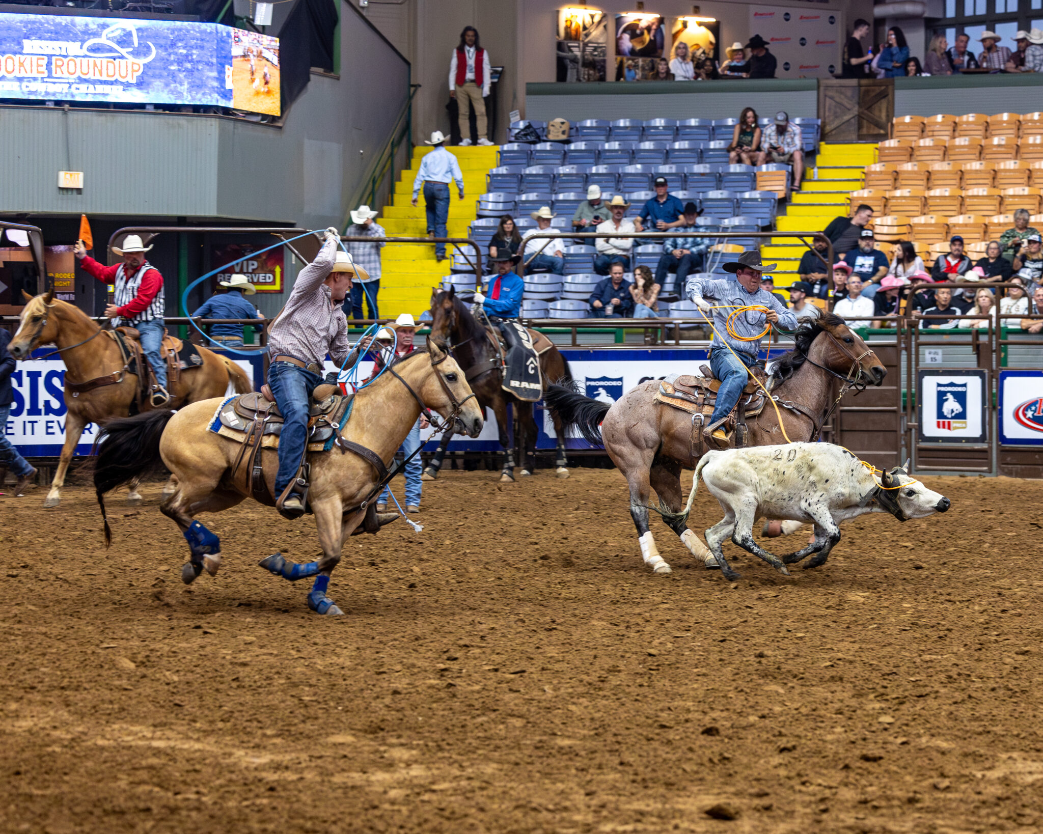 Resistol Rookie Roundup Team Roping 2024 - The Team Roping Journal