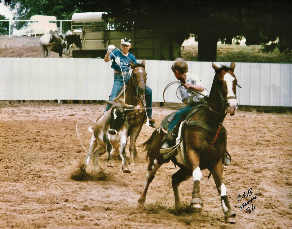 What should I look for in a team roping horse?