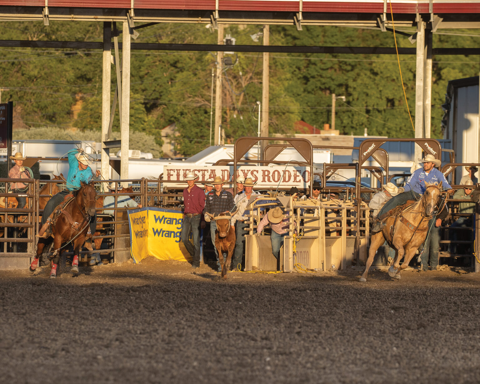 Canadian Cowboy Dillon Graham Talks Roping in The Great North
