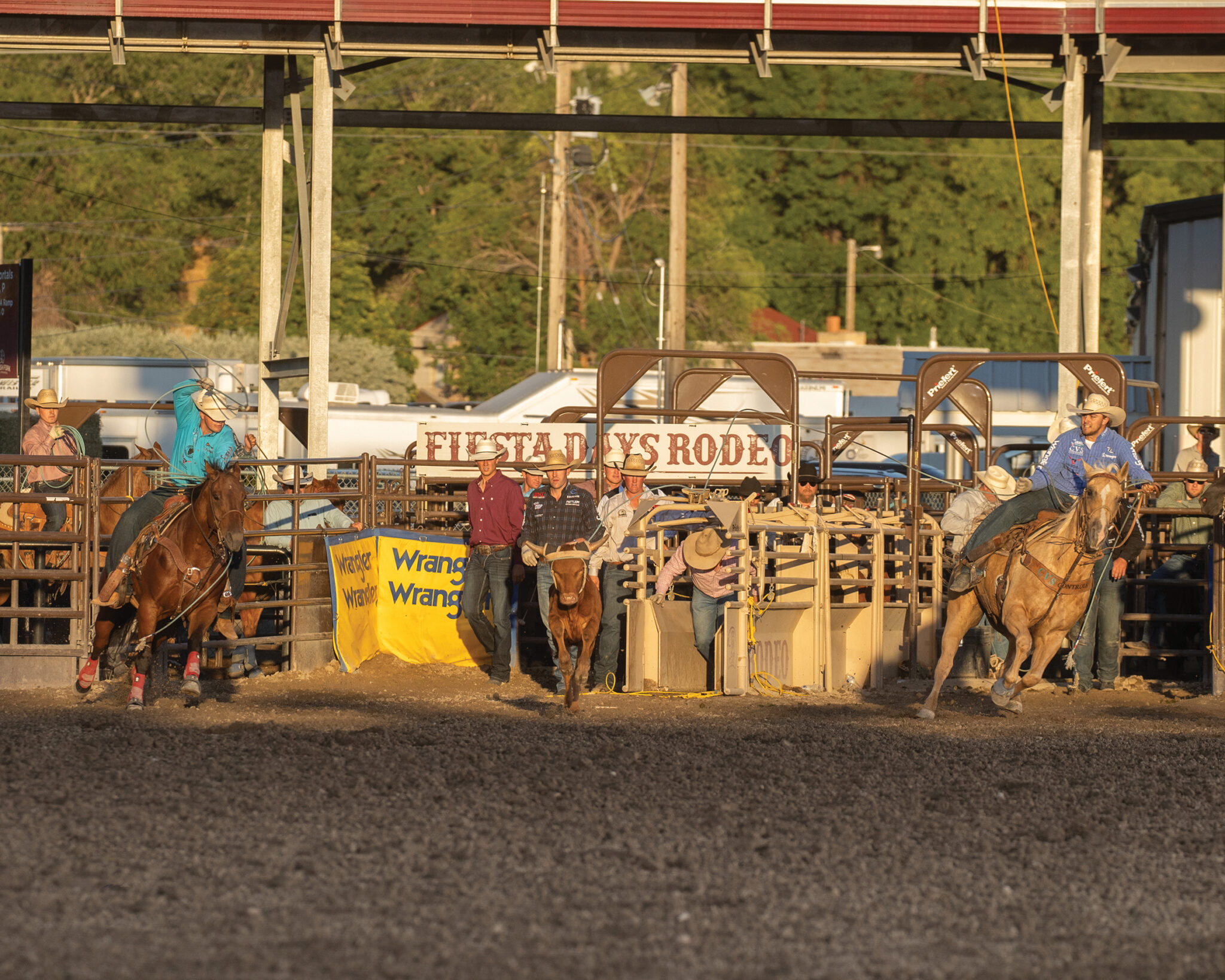 Canadian Cowboy Dillon Graham Talks Roping in The Great North