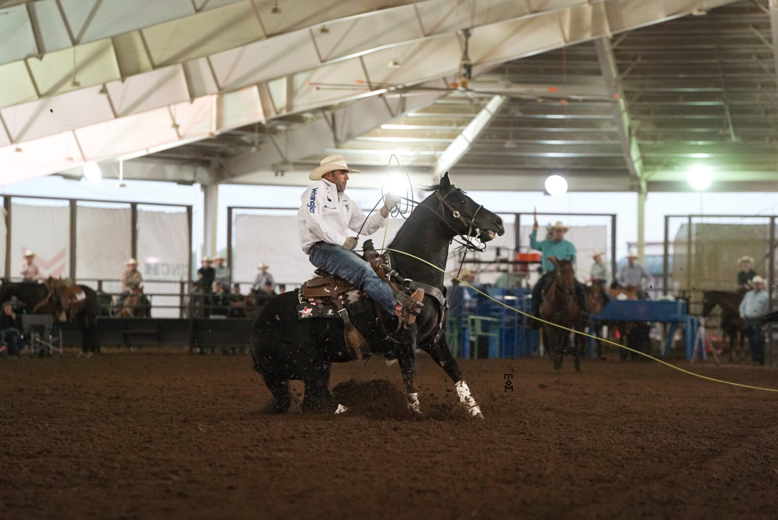 Stallion The Notorious B I G, Saebens Win Red Bud Spectacular - The ...