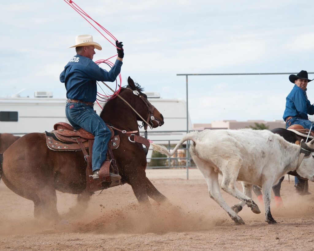 Find Your Team Roping Style