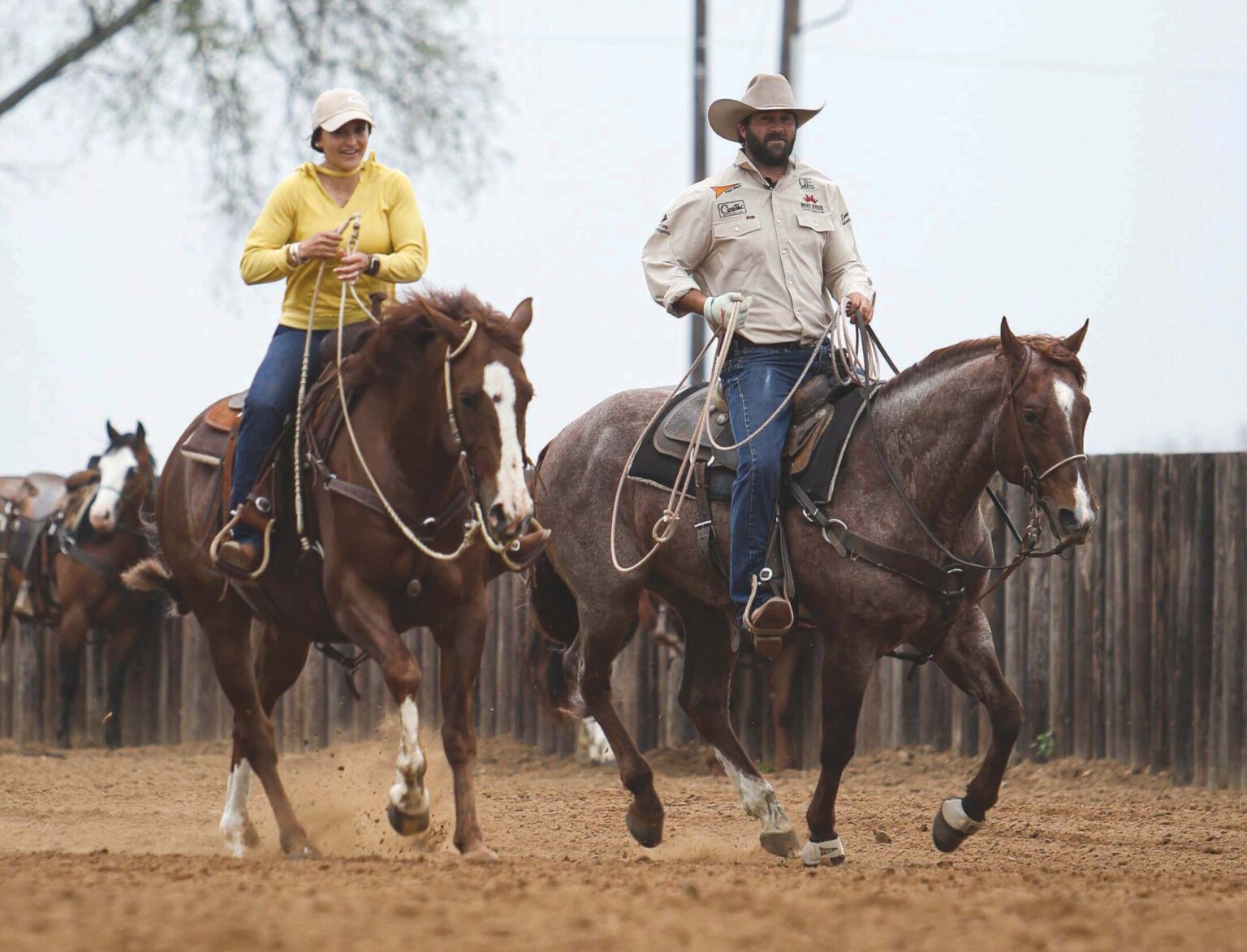 Training User-Friendly Horses - The Team Roping Journal