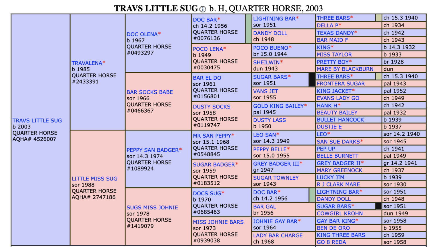 Travs Little Sug: The Stud Behind Rhen Richard's Big Break