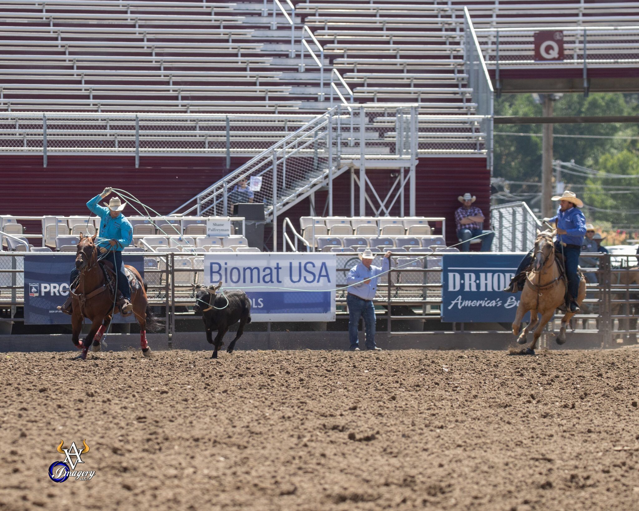 The Horses at the Heart of Team Graham