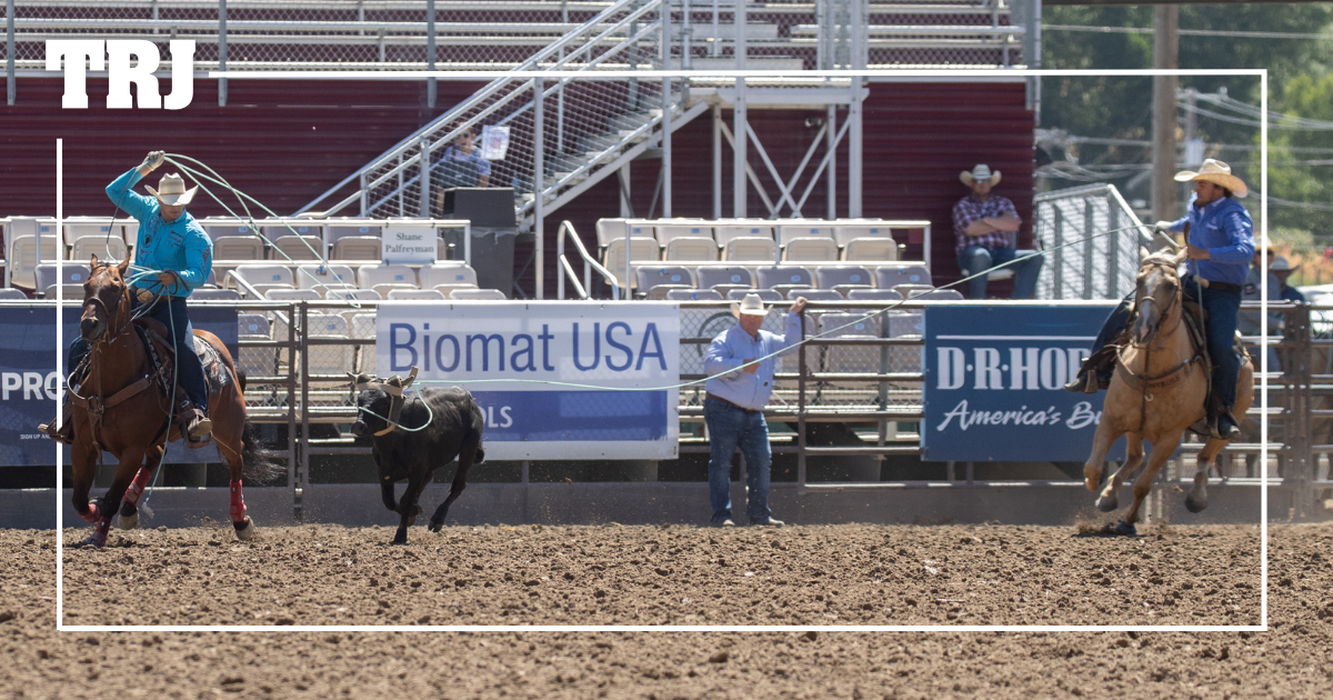 The Horses at the Heart of Team Graham