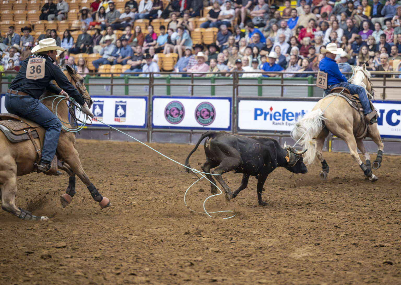 Chase Graves in 2024 Resistol Rookie of the Year Hunt