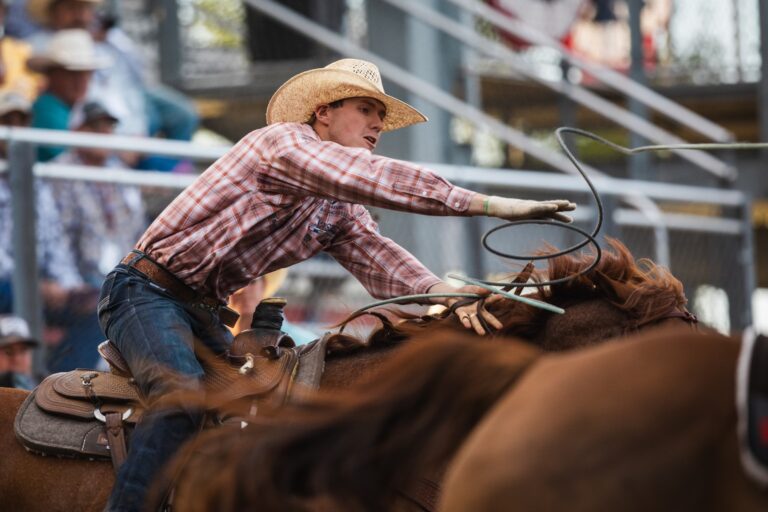 Team Roping Journal — Home