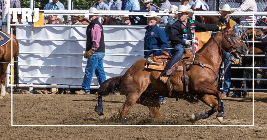 New Head Horse Helps Driggers, Nogueira Set Earnings Record - The Team ...