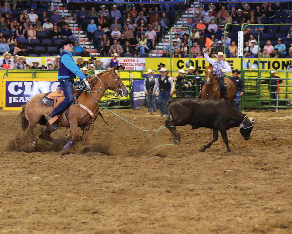 What is College Rodeo?