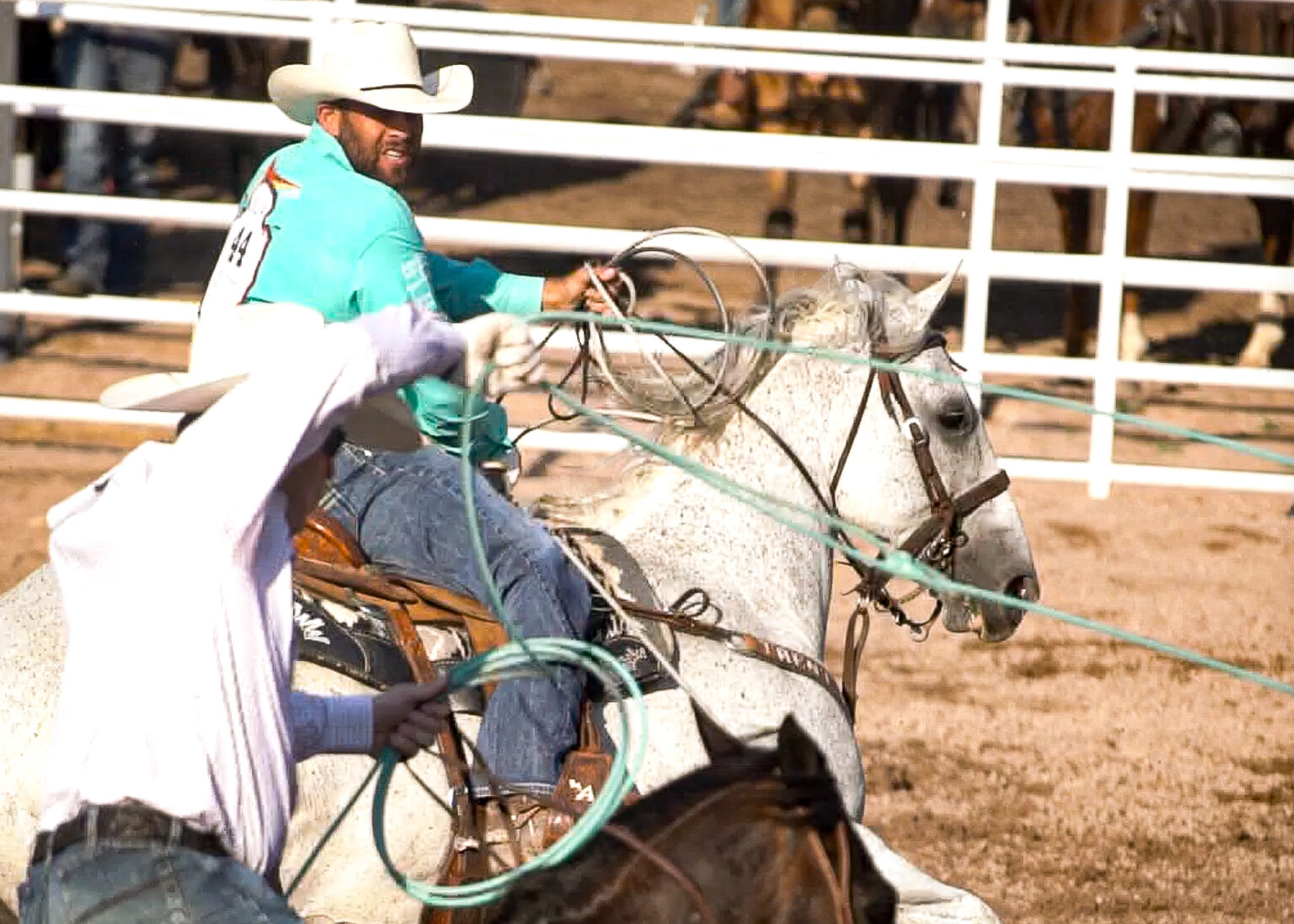 Here's Who Made It Back in the Team Roping at Cheyenne in 2024 - The ...