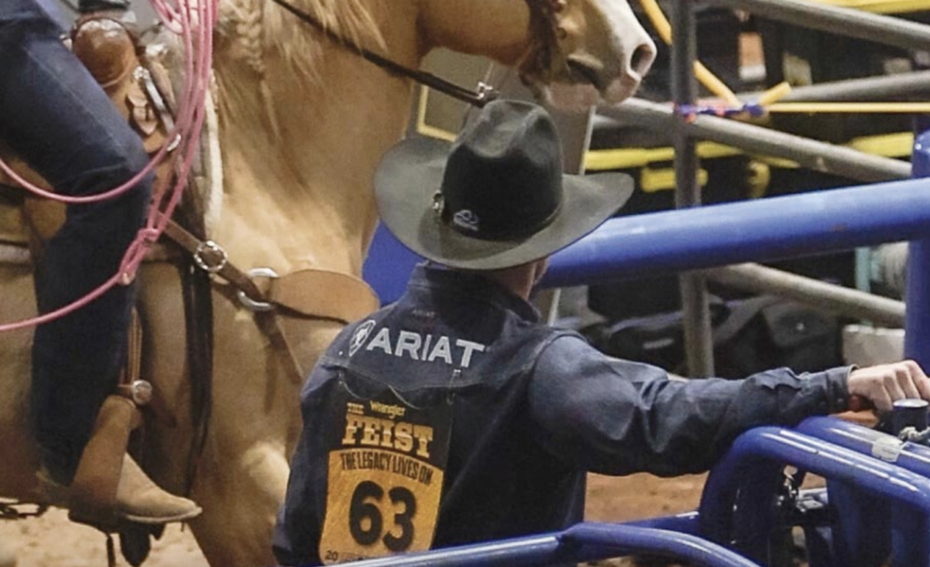 Can I Get a Gate Rattle?