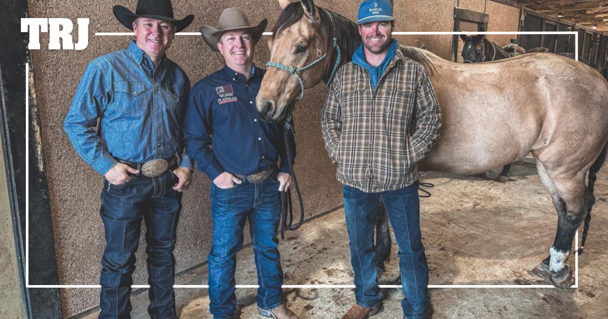Relentless Remuda Donates "Scotch" to War Horses for Veterans