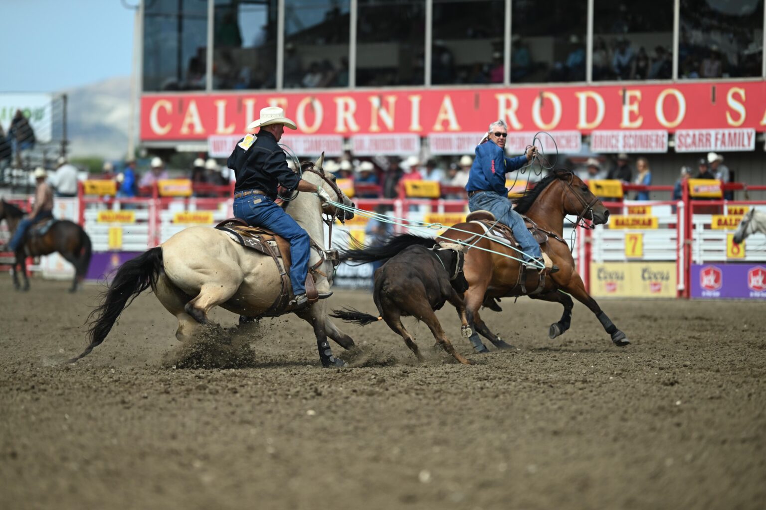 Green Cowden: 2024 Salinas Gold Card Team Roping Champs