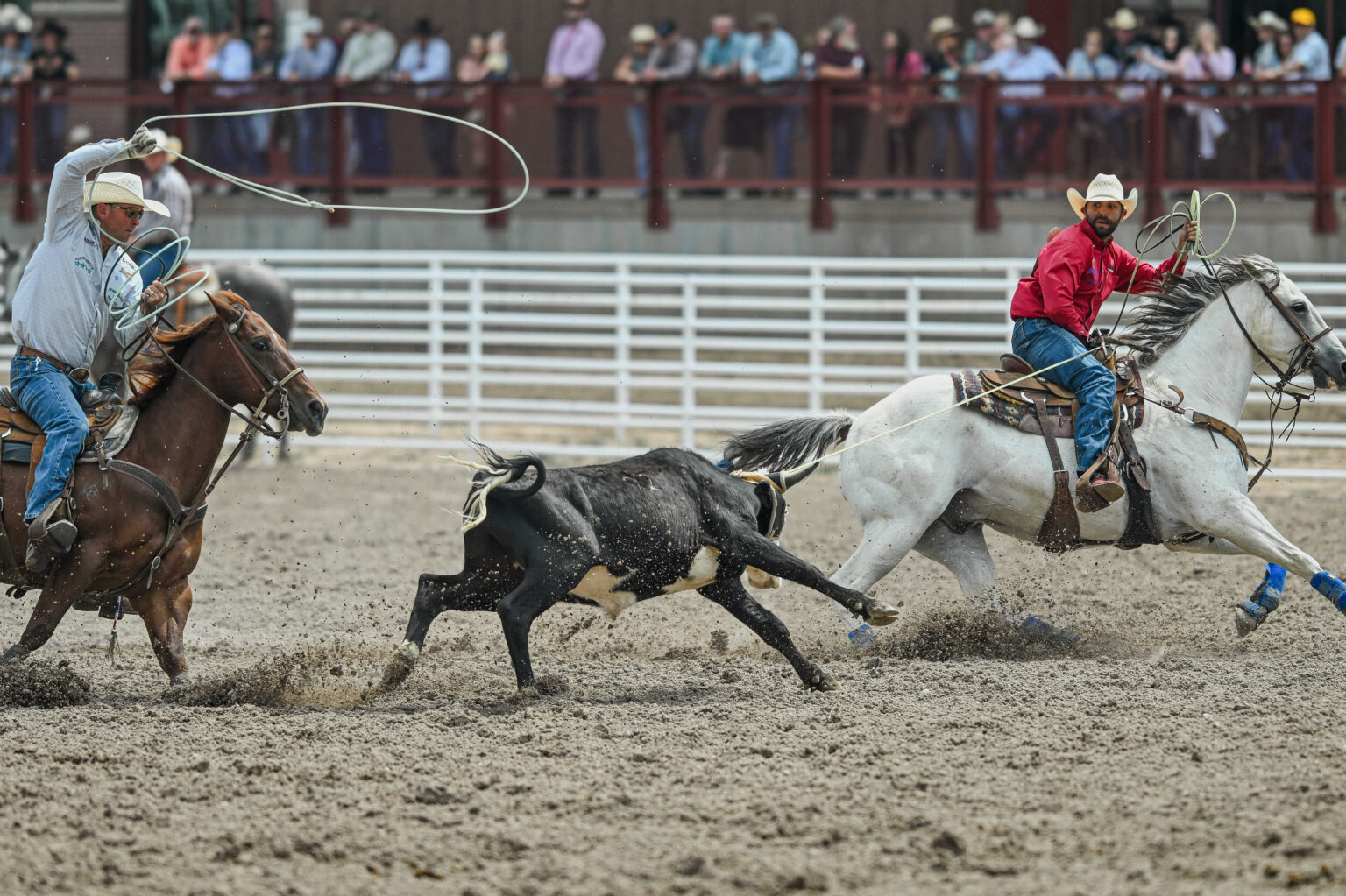 Cheyenne Frontier Days 2024 Draws, Results and More