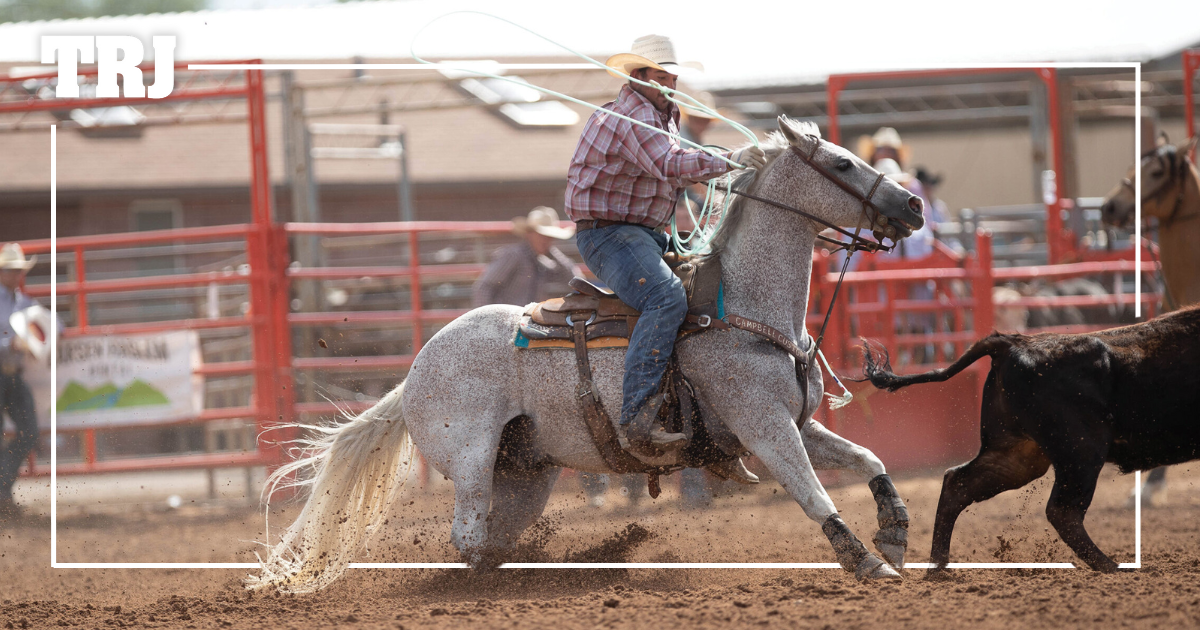 Douglas Rich: Riding High on Malibu Wave