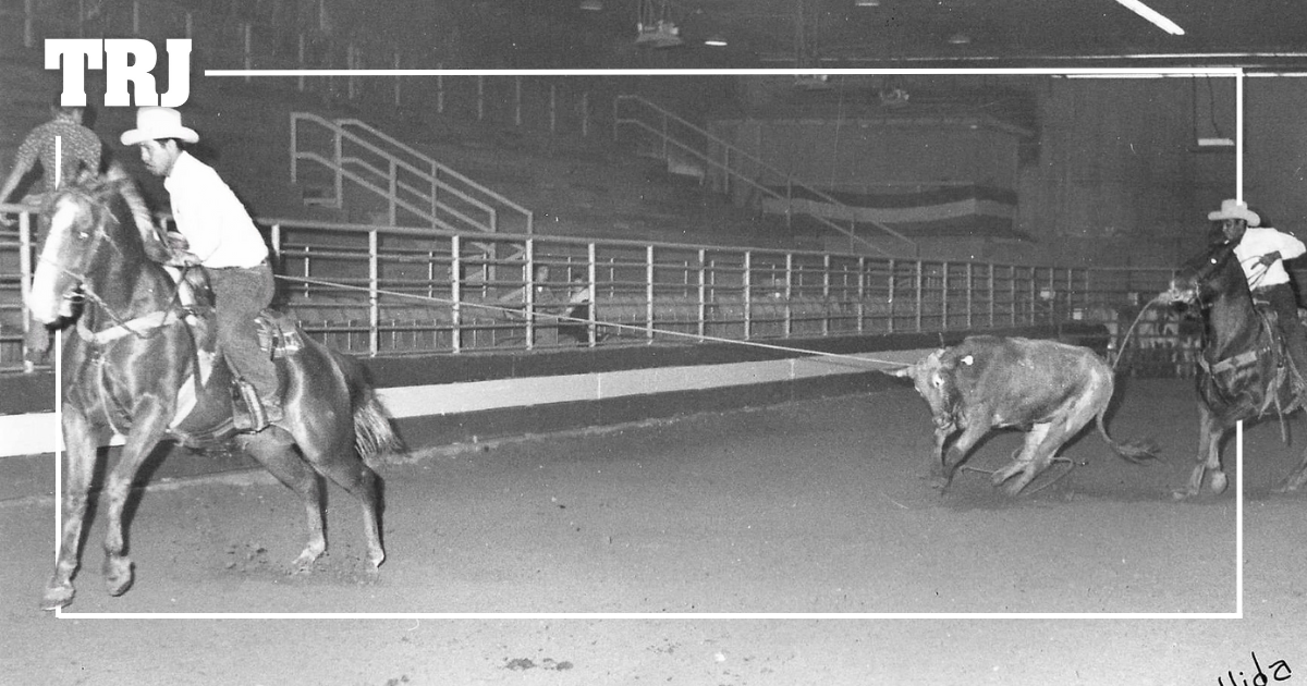 Harrison Ranch Horses: "Those were cowboy horses"