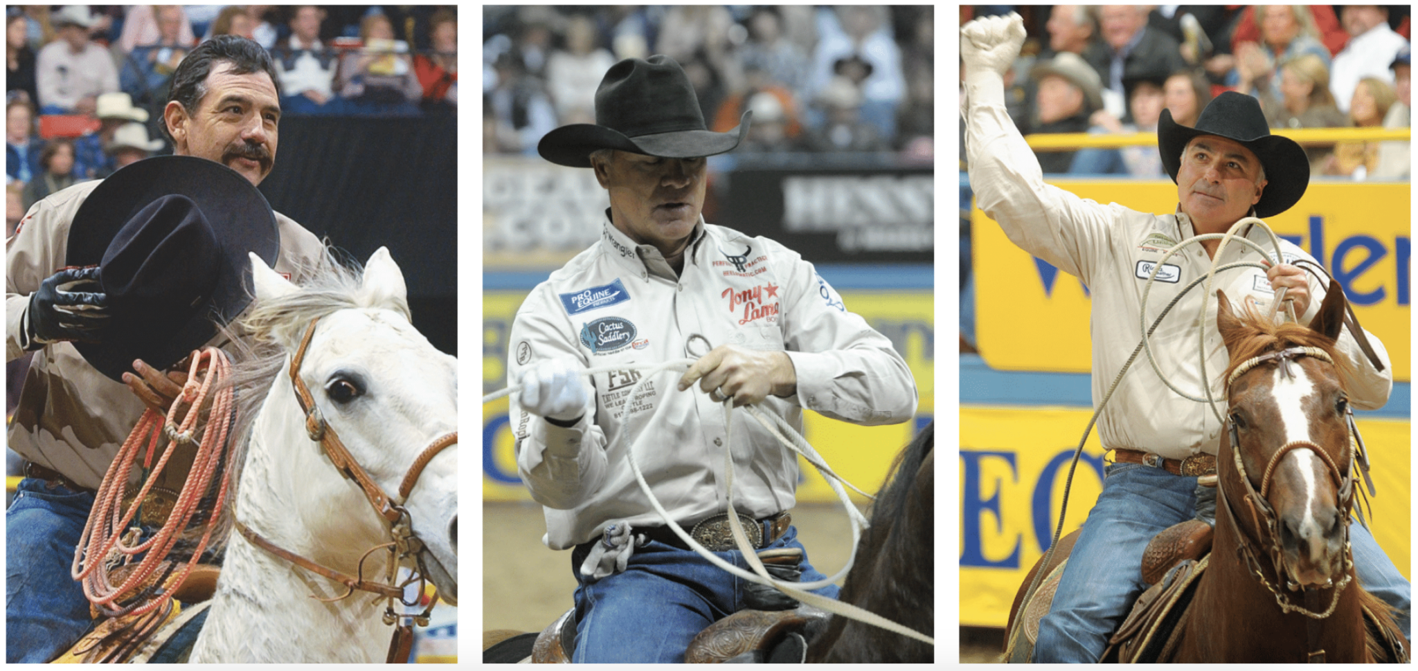 What It Takes To Make the NFR