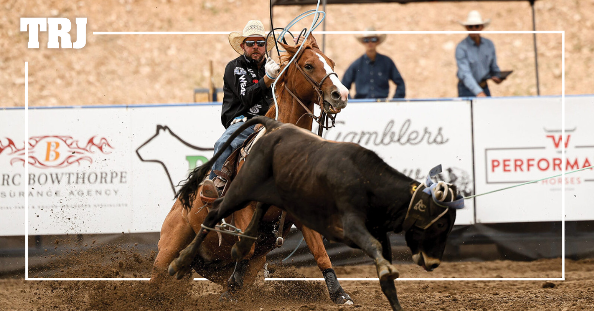 Making Money as a Trainer in the Rope Horse Business