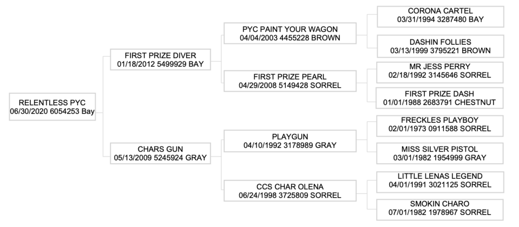 Baker & Relentless PYC Win Royal Crown 6 & Under Heading