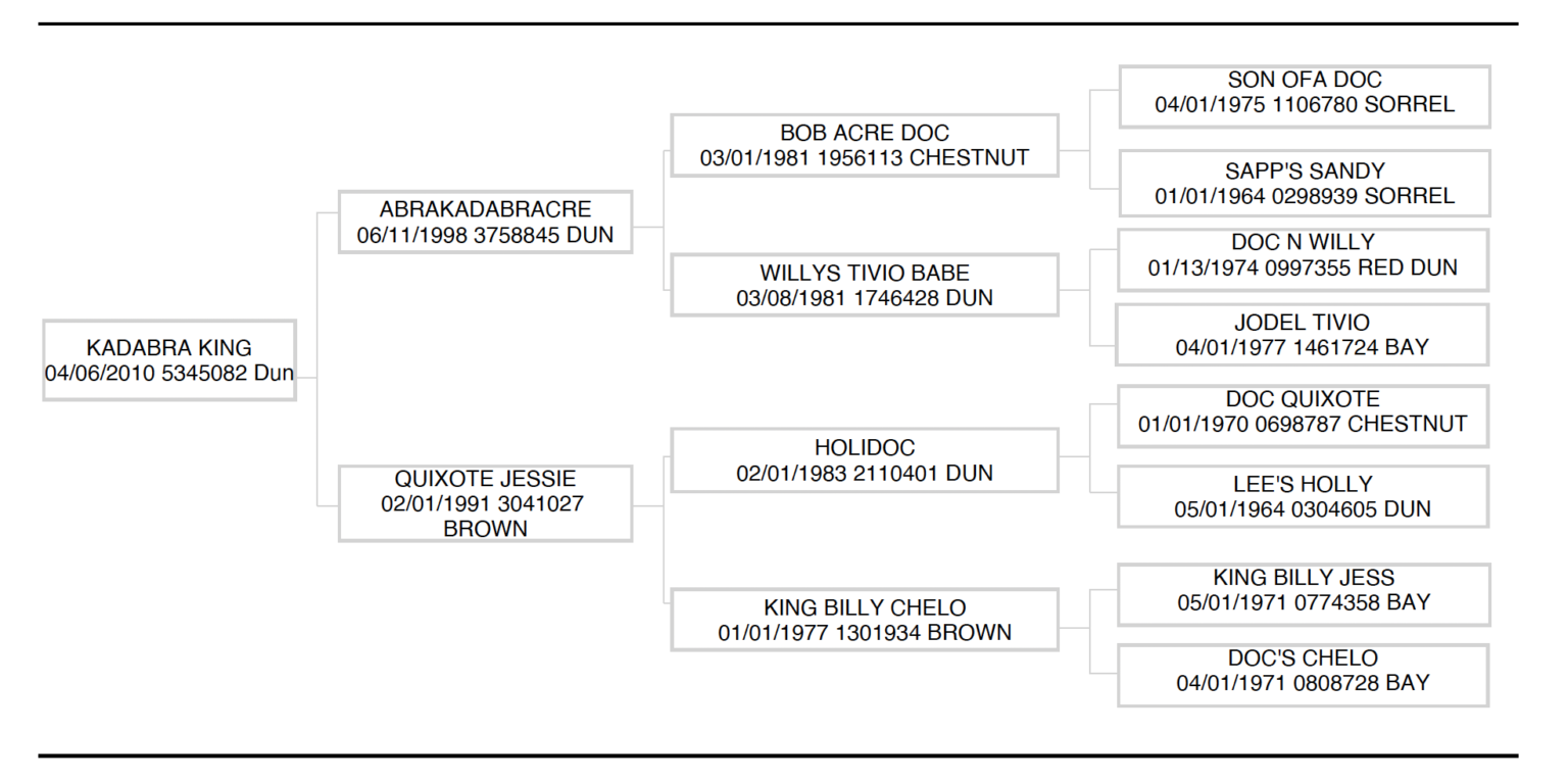 NFR Team Roping Results Round 1: Tyler Wade, Wesley Thorp - The Team ...
