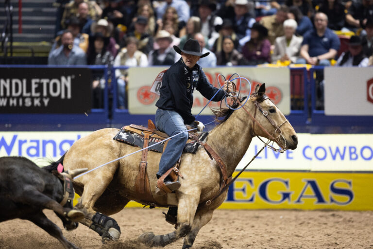 Team Roping Journal — Home