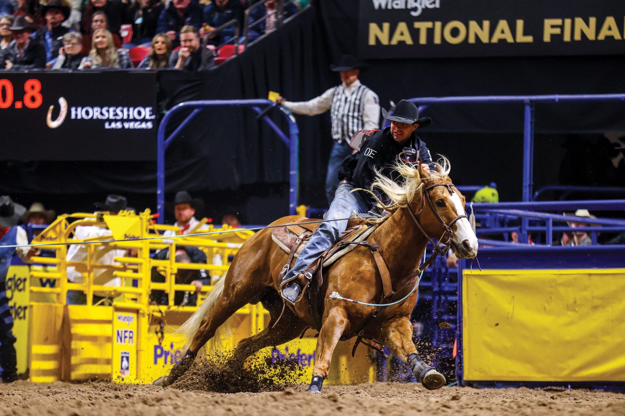 Rope Horse Breeder's Guide: Premier Rope Horses