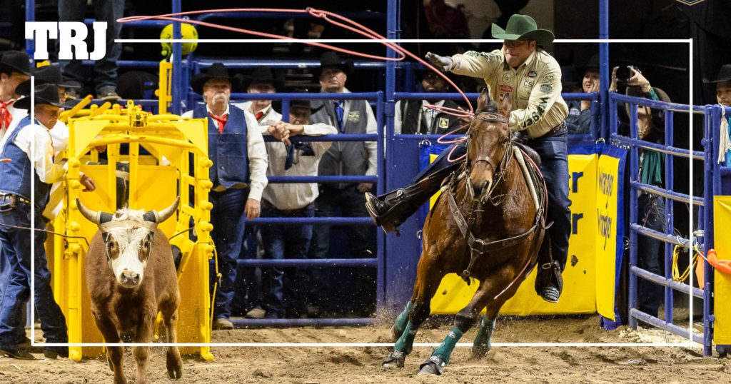 Million-Dollar Horsepower: The Head Horses of The 2025 American Rodeo ...