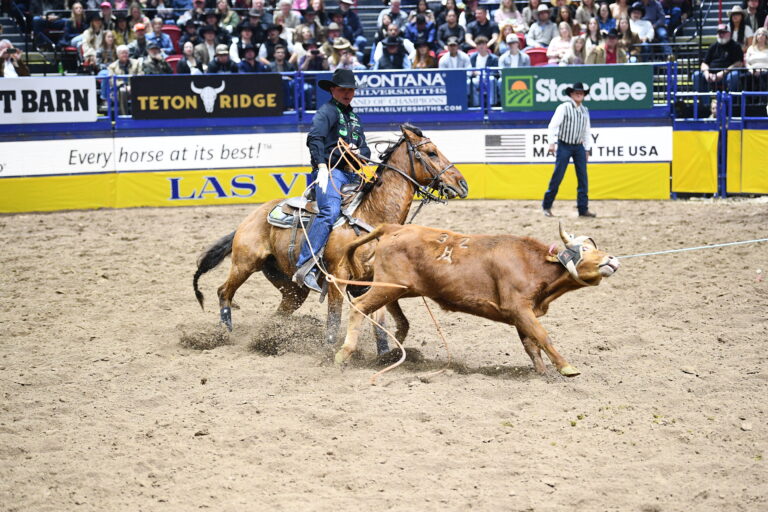 Wade, Thorp: 2024 PRCA Team Roping World Champions