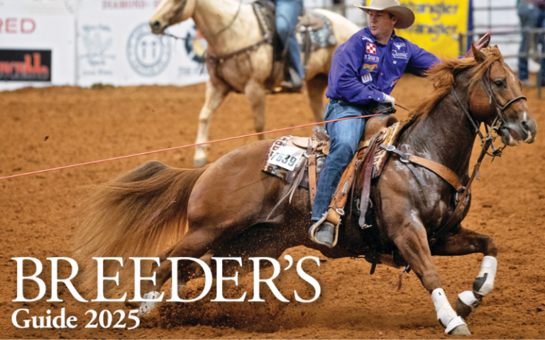 Team Roping Journal — Home