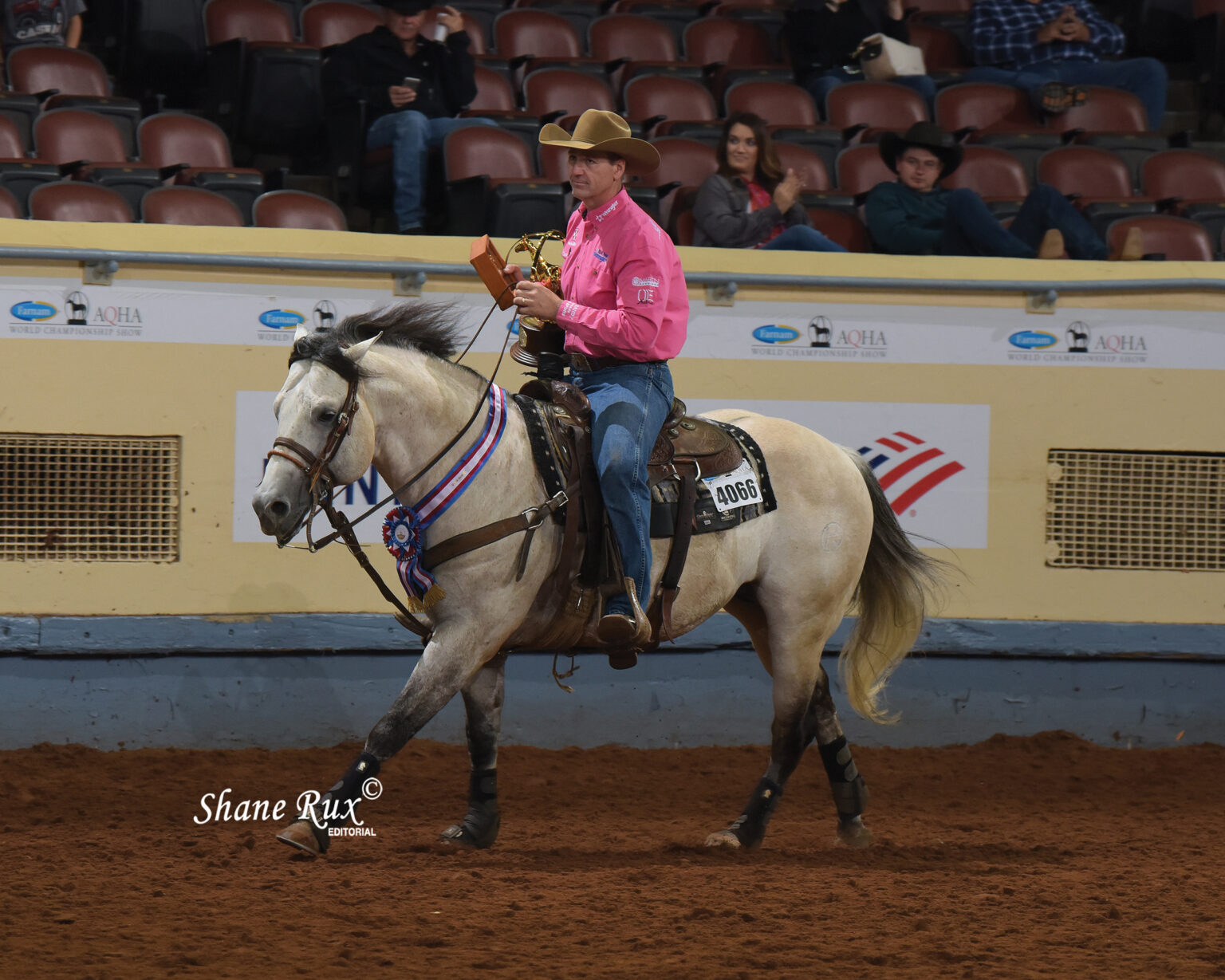 Rope Horse Breeder's Guide Stallion: CT Show Me Your Guns