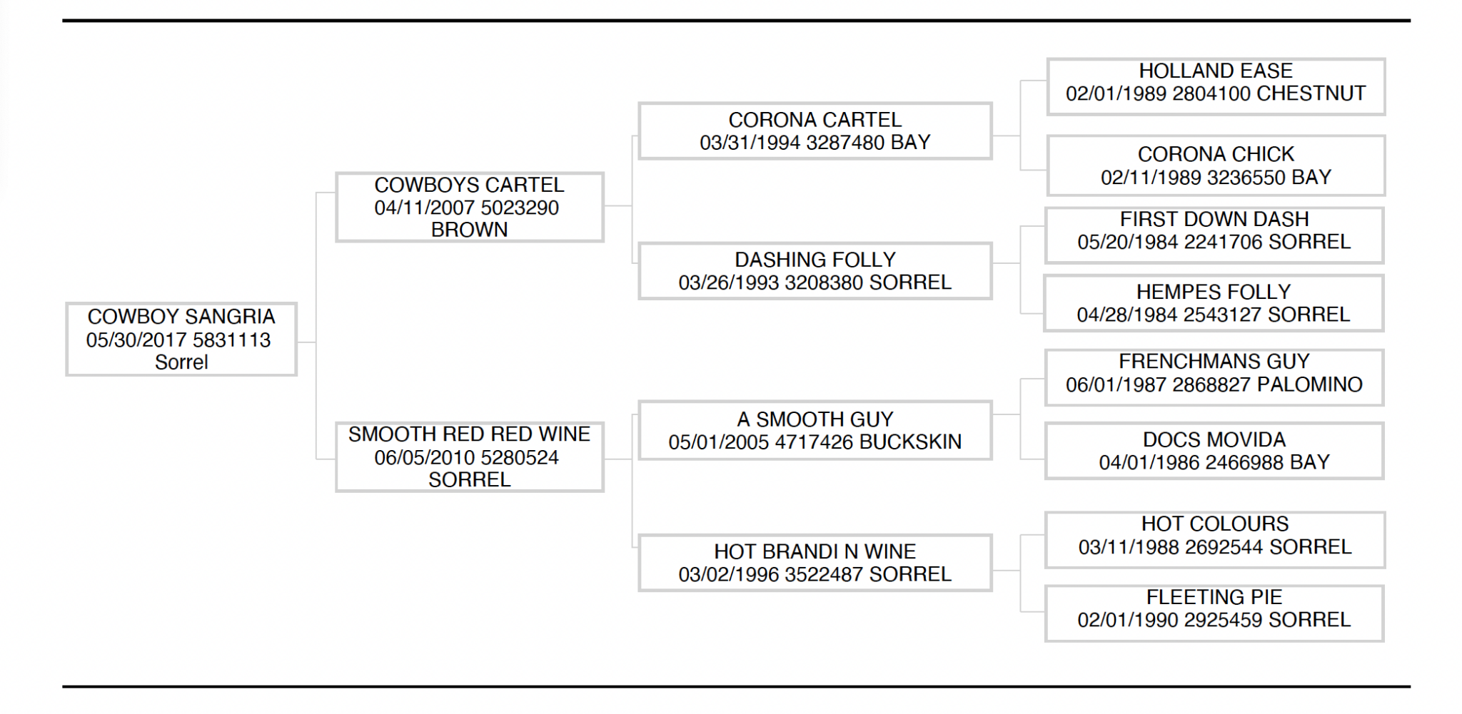 Driggers & Nogueira Back-to-Back Champs of the BFI - The Team Roping ...